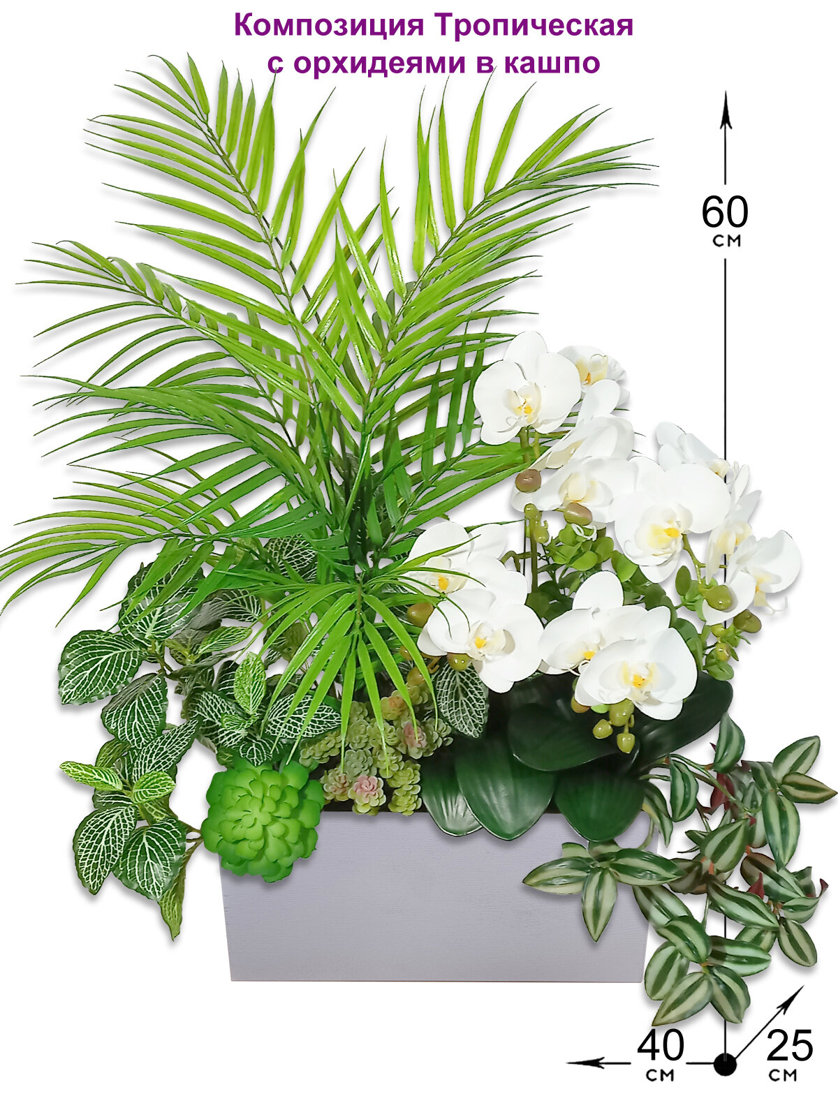 Композиция Тропическая с белыми орхидеями в кашпо от ФитоПарк, озеленение дома, подарок учителю