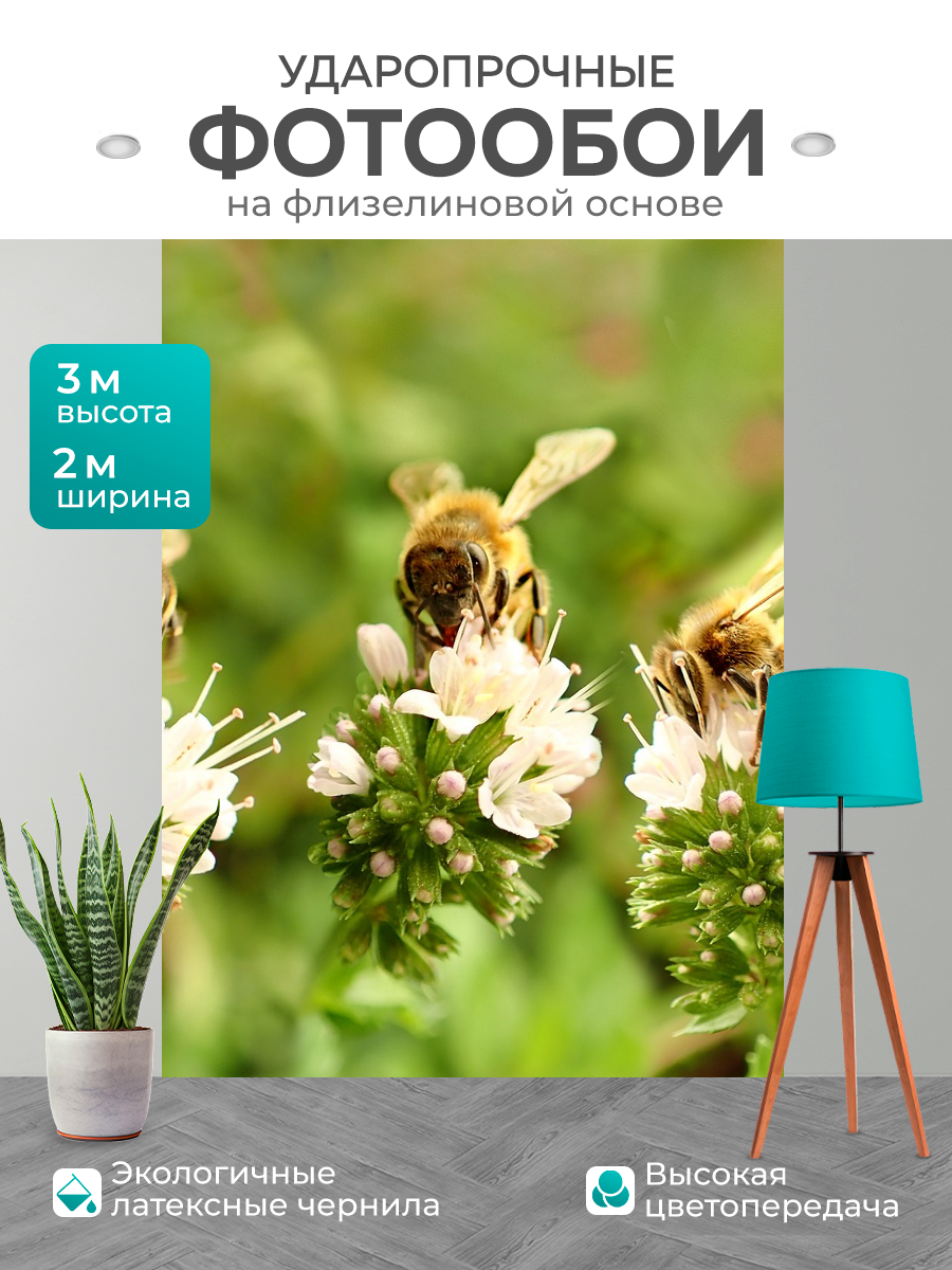 Фотообои моющиеся ударопрочные "Пчелы, насекомые, цветочная пыльца" 200x300 см. флизелиновые на стену