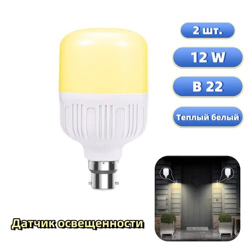 ZARA HOME Лампочка, Цоколь: B22d, 12 Вт, Светодиодная, 2 шт.