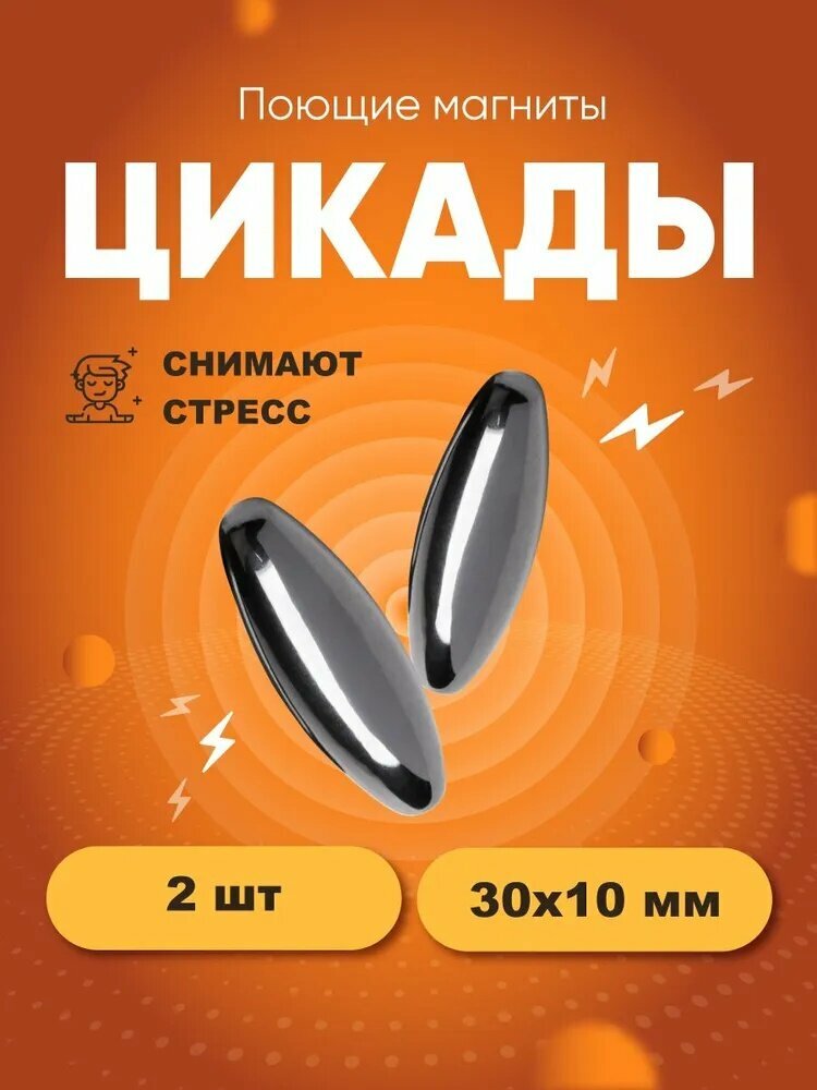 Поющие магниты цикады Forceberg (овал), 30х10 мм