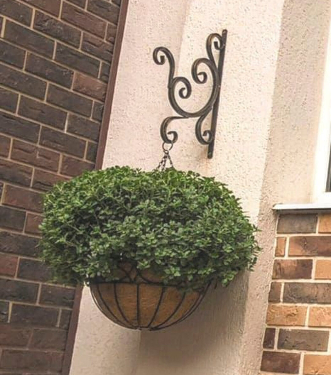 Кованый кронштейн для кашпо, золото