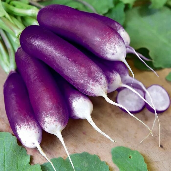 Коллекционные семена редиса Полезный завтрак