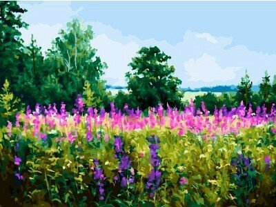 Раскраска по номерам Белоснежка #981-AS Полюшко поле, 40 х 30 см