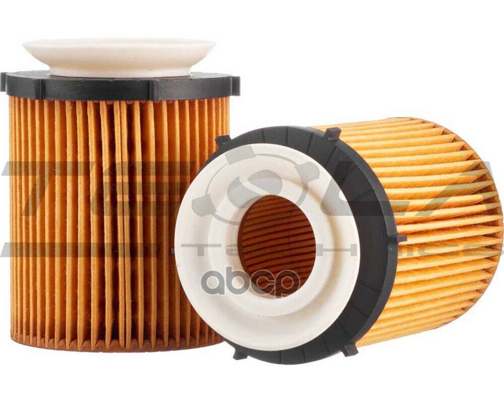 Фильтр масляный Tesla Technics арт. TTF2076