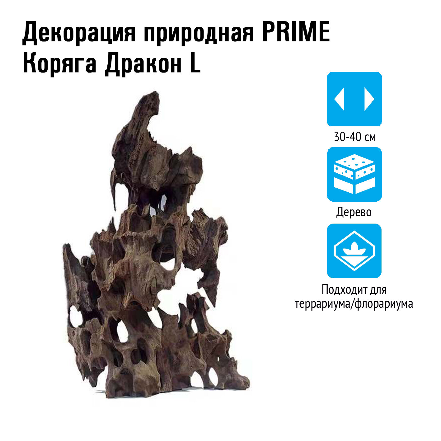 Коряга натуральная PRIME Дракон, L