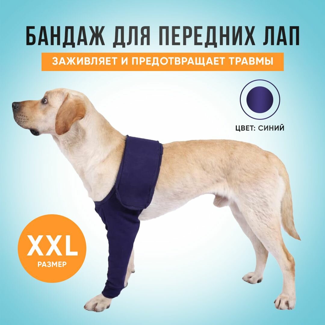Бандаж для собак на переднюю лапу. Налокотники, XXL