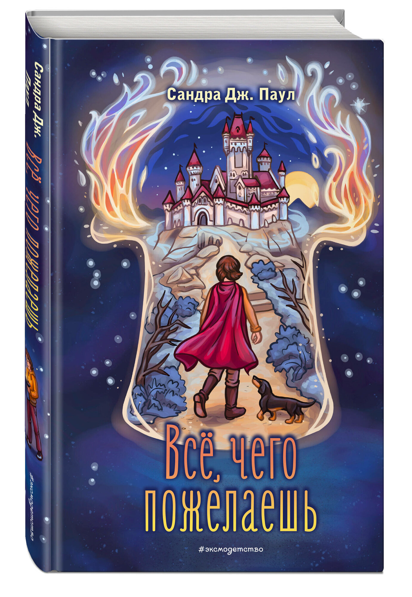 Паул С. Все, чего пожелаешь