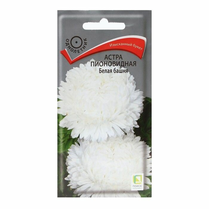 Астра пионовидная Белая башня