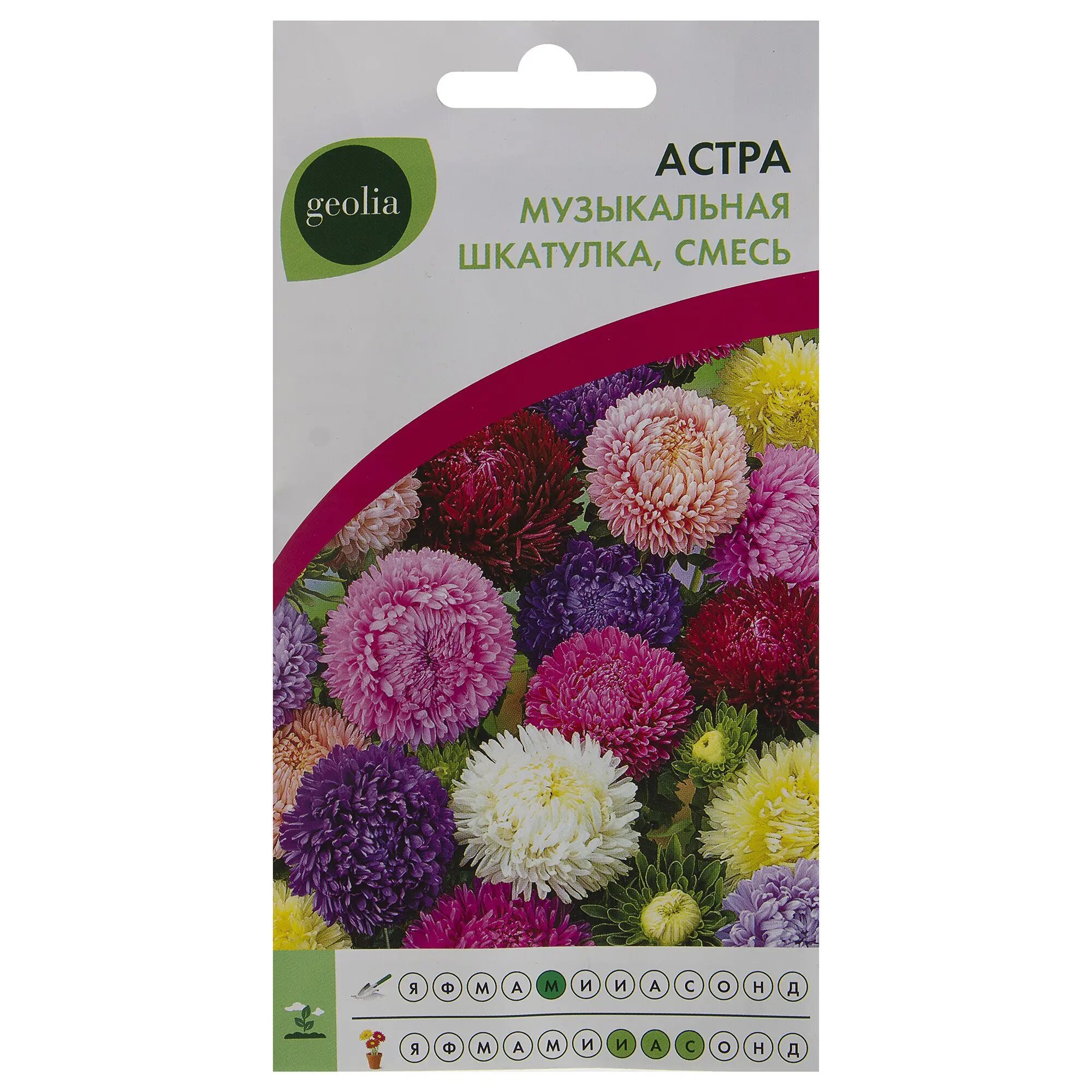 Астра Geolia Музыкальная шкатулка с разноцветной палитрой оттенков, смесь окрасок