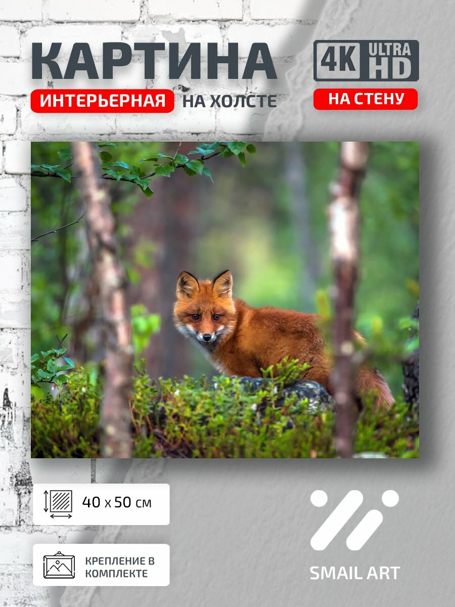 Картина на холсте интерьерная 40 на 50 на стену Деревь Landscape для гостиной пейзаж декор