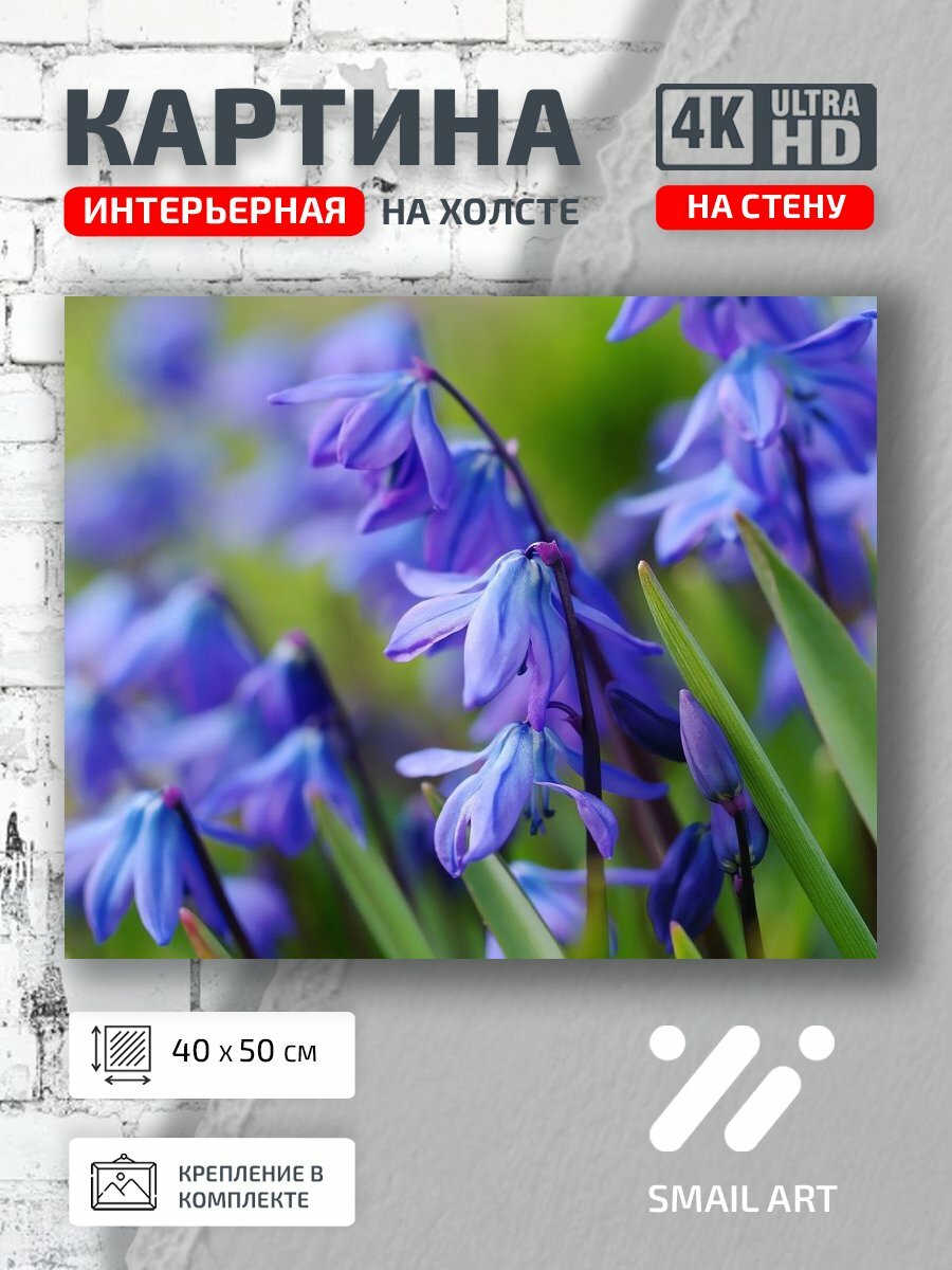 Картина на холсте интерьерная 40 на 50 на стену Полевые Landscape для спальни пейзаж декор