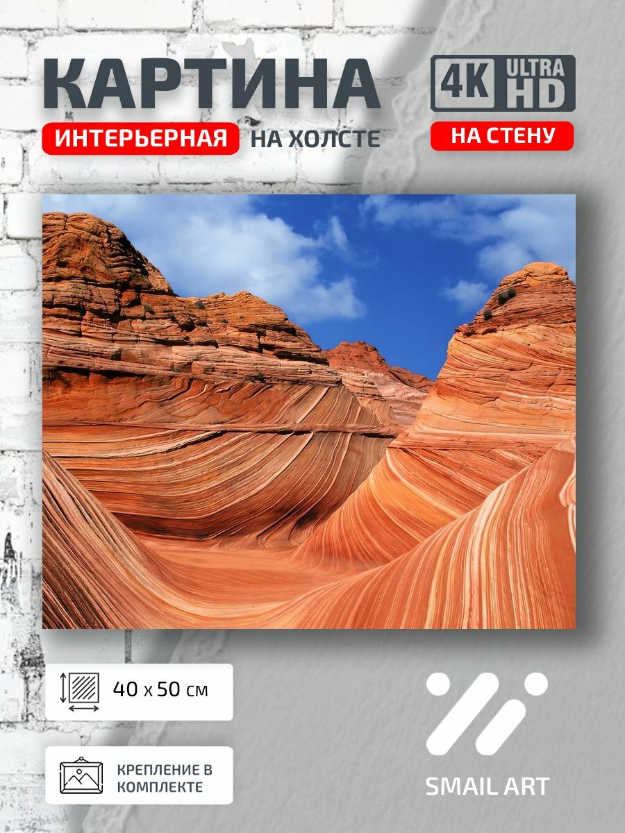 Картина на холсте интерьерная 40 на 50 на стену Живописная Canyon-Vermilion для детской