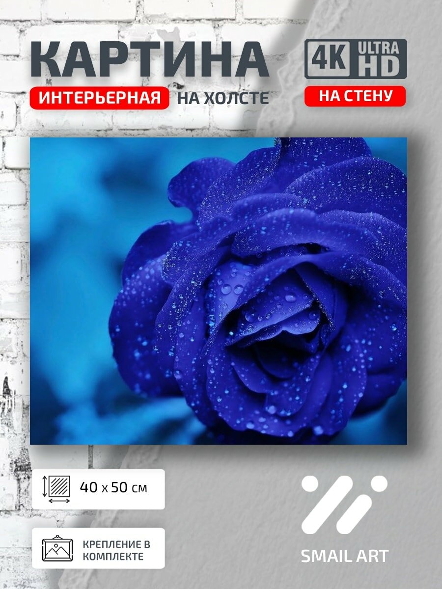 Картина на холсте интерьерная 40 на 50 на стену Макро Роза для спальни атмосфера