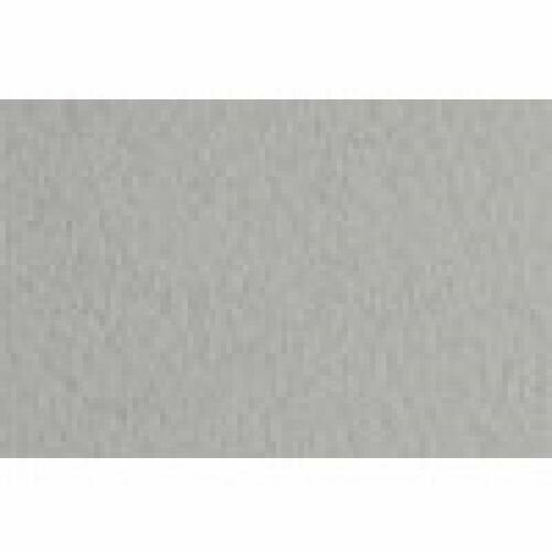 Бумага для пастели (10 лист.) Fabriano "Tiziano" 160 г/м2, 50х65 см, 52551029 Nebbia/Серый холодный