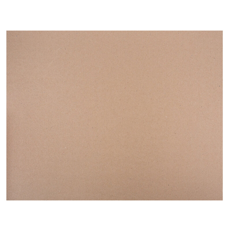 Невская Палитра Картон 1010г/м2 400х500мм 1л