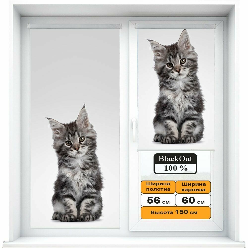 Рулонная штора Блэкаут (Blackout) с фотопечатью Котёнок 56х150см