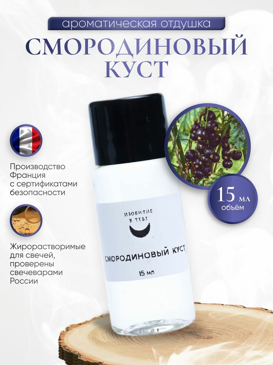 Отдушка для свечей Лист смородины 15 мл