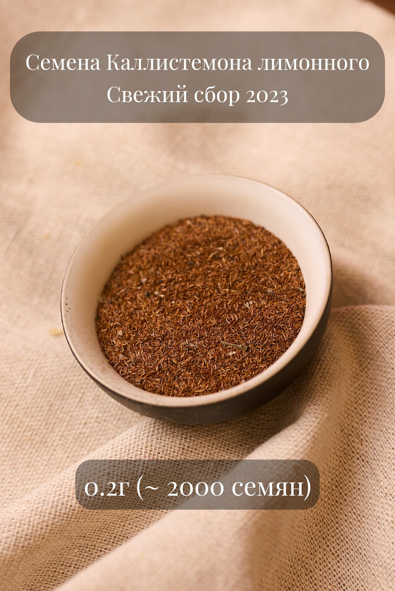 Семена Каллистемона лимонного, декоративное растение, подходит для бонсай, 0,2 грамма (примерно 2000 шт)