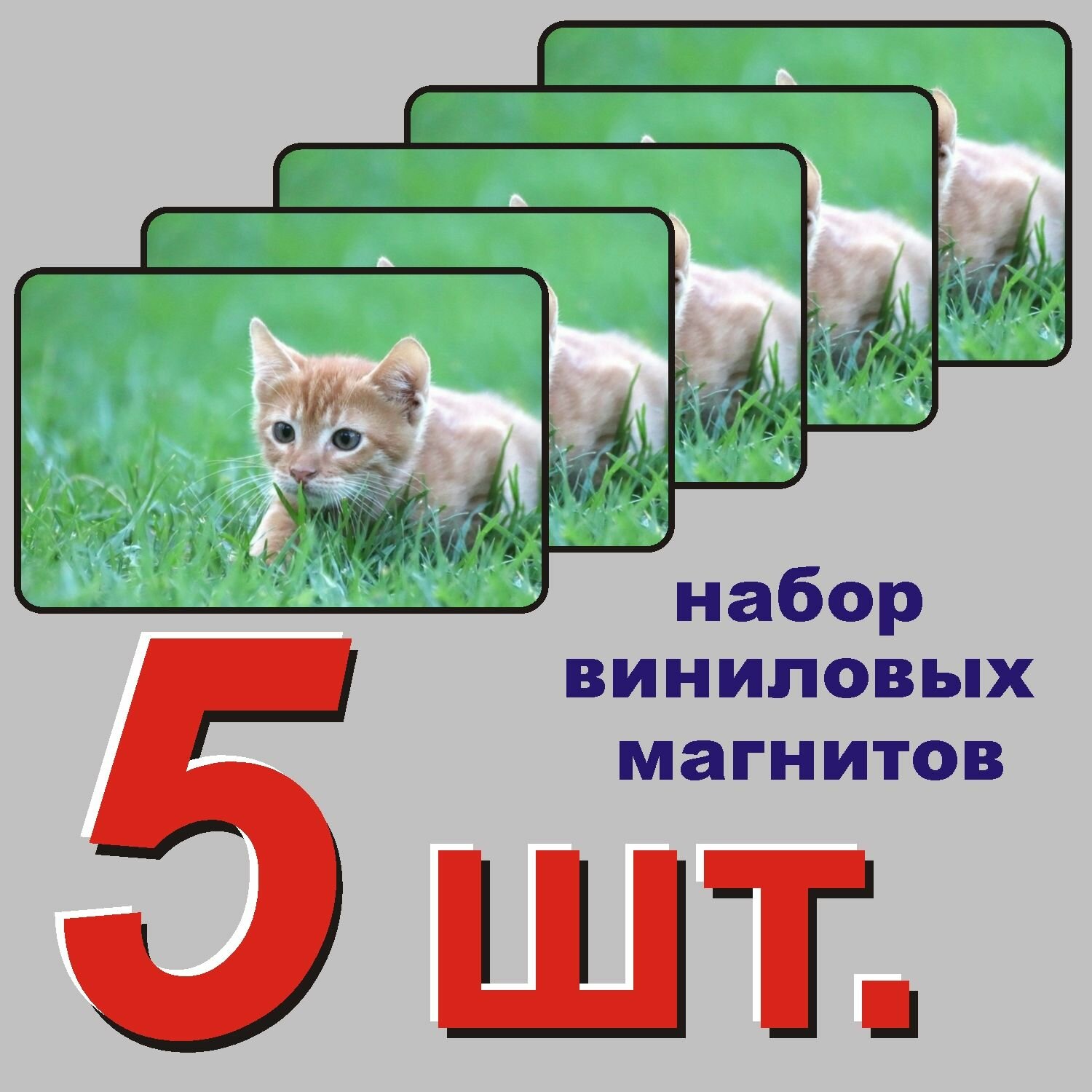 Магнит на холодильник "Котики" 5 шт.