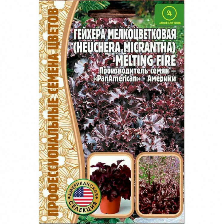 Семена Гейхеры мелкоцветковой (HEUCHERA MICRANTHA) MELTING FIRE (5 драже)