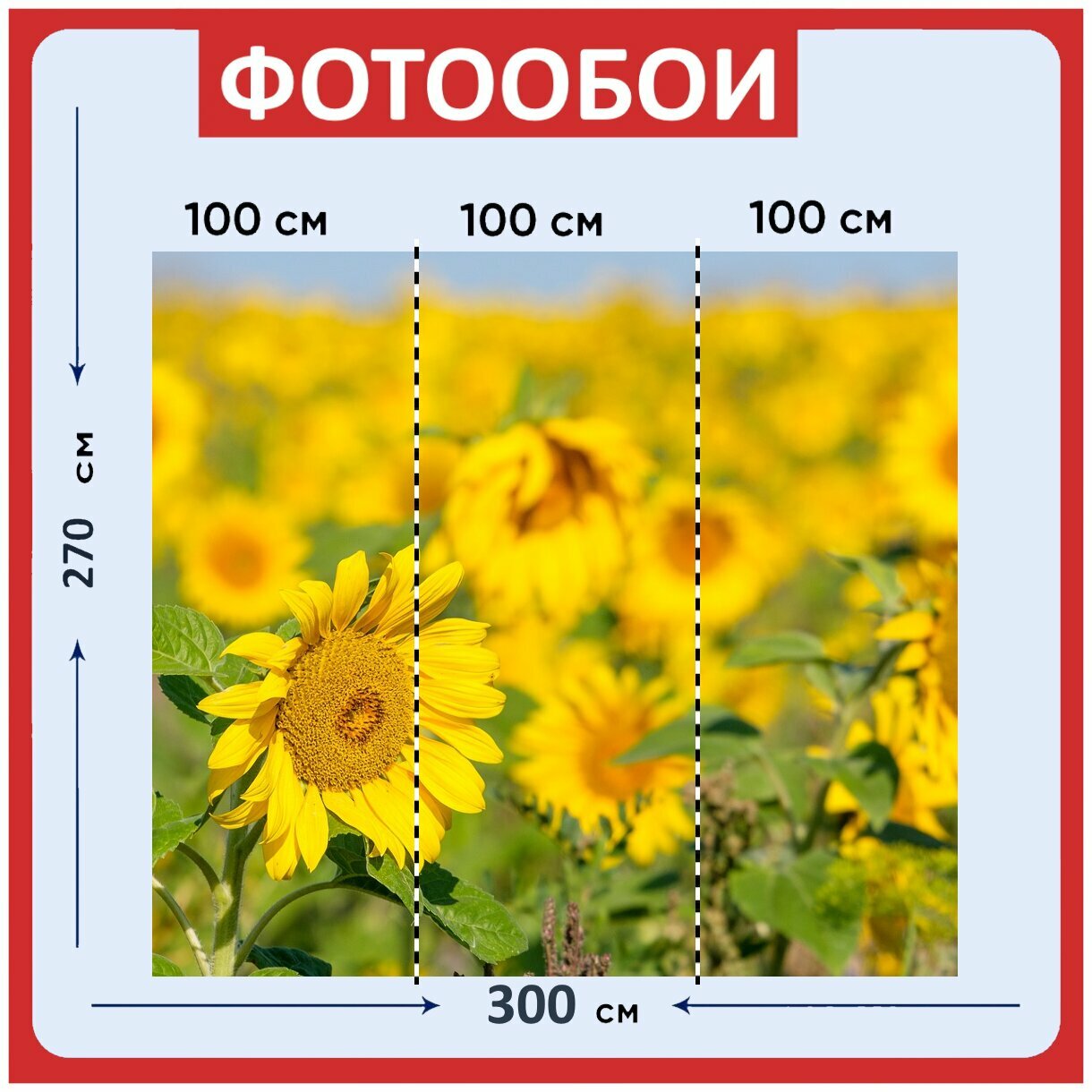Фотообои ударопрочные моющиеся "Подсолнухи, поле, цветы" 300x270 см. флизелиновые на стену