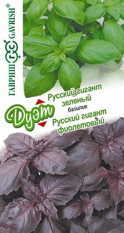 Семена Базилик Русский гигант зеленый + Русский гигант фиолетовый серия Дуэт