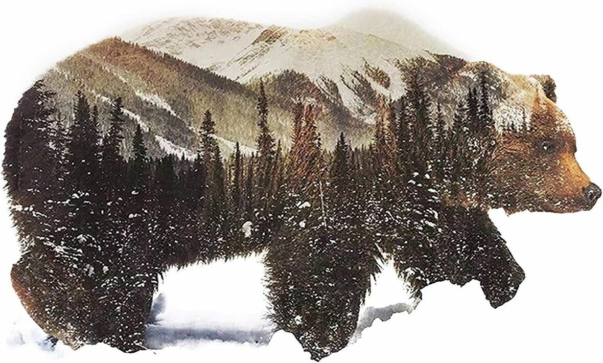 Алмазная мозаика на подрамнике / Картина стразами "Силуэт медведя" 40х50 , сложность 5, цветов 23, Komas