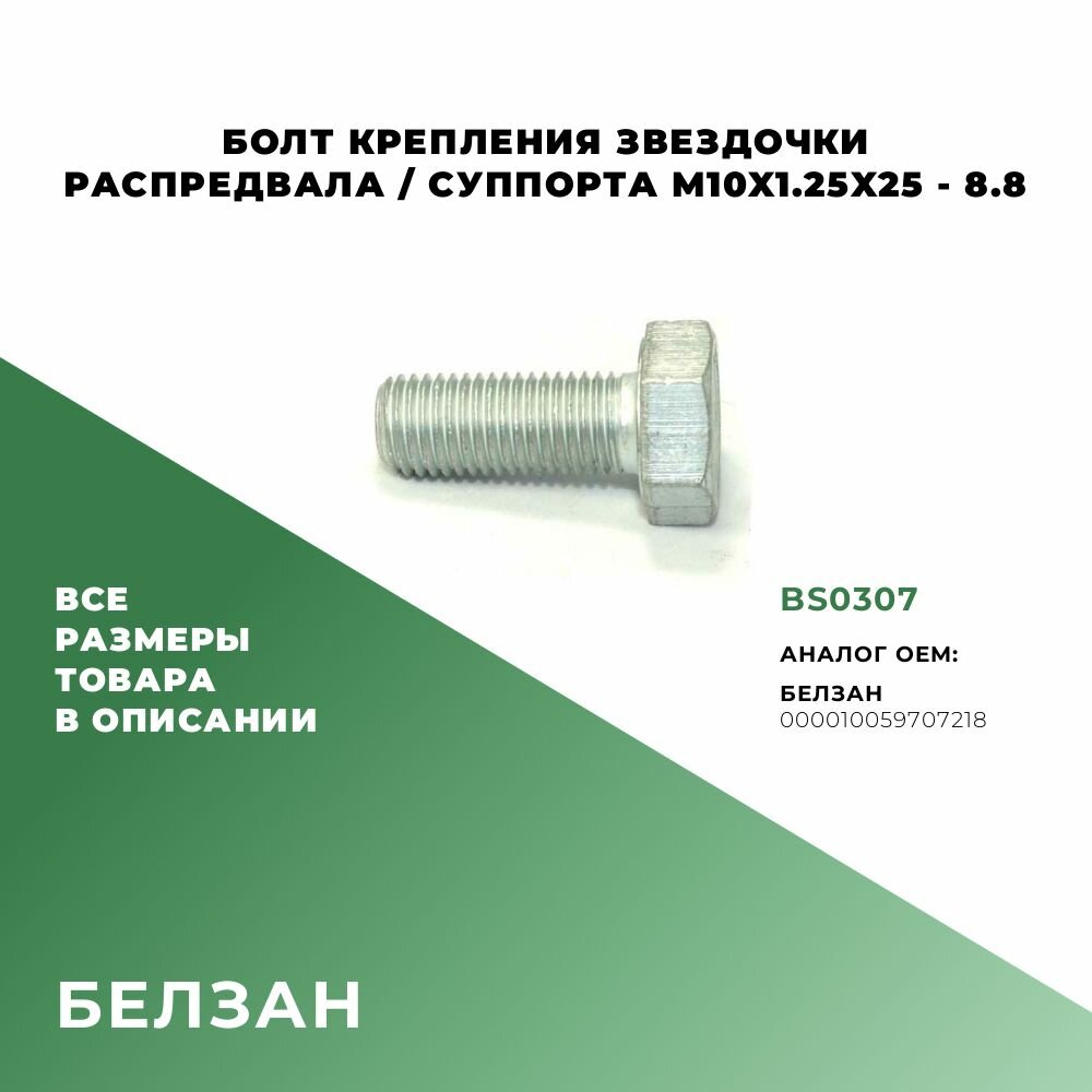 Болт звездочки распредвала / суппорта M10х25х1,25-8.8; ОЕМ:000010059707218; BS0307 - 4 шт.