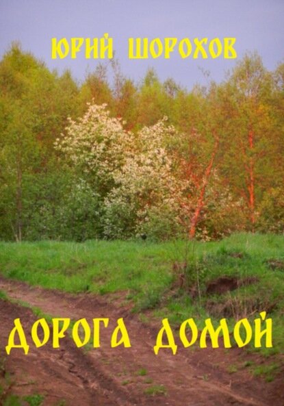Дорога домой [Цифровая книга]