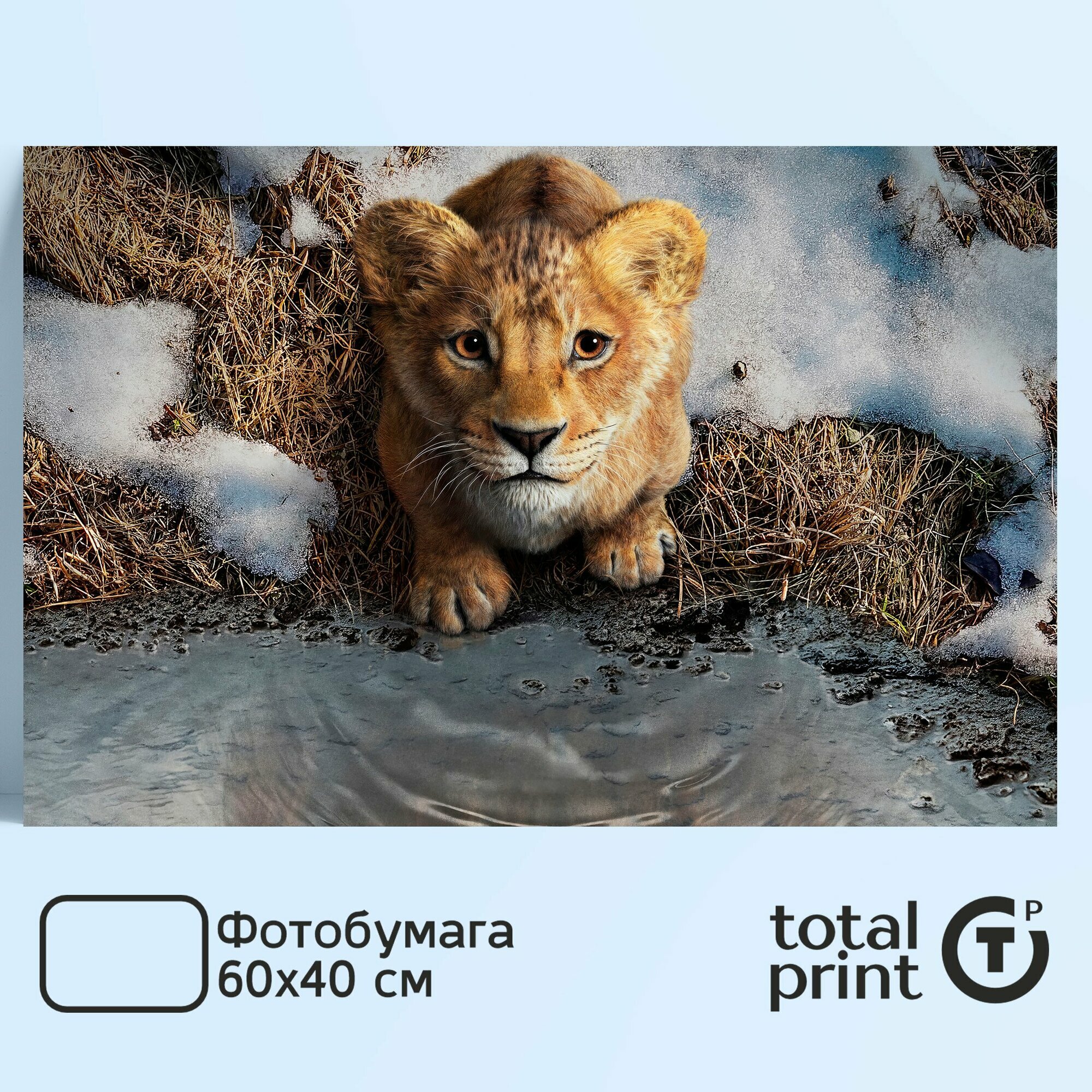 TotalPrint Постер для интерьера, Король Лев, 60х40см.