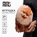 Игрушка антистресс "Шпиц" 32 см, подушка, mni mnu, Сима-ленд