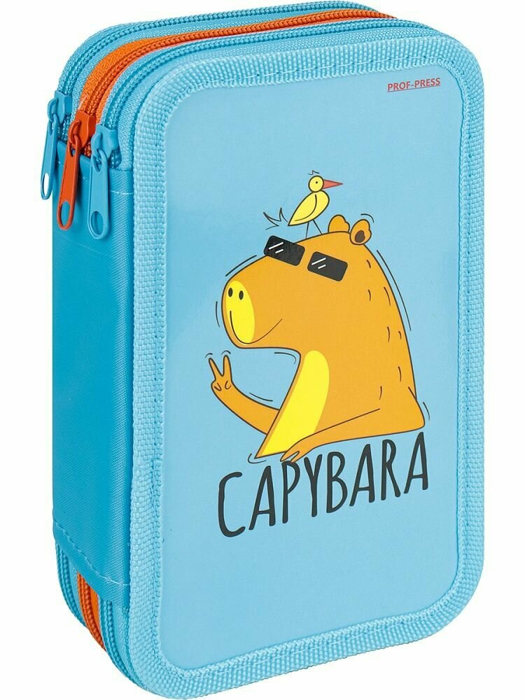 Пенал 3 отделения 190х115мм Капибара в очках ламинированный картон, текстиль