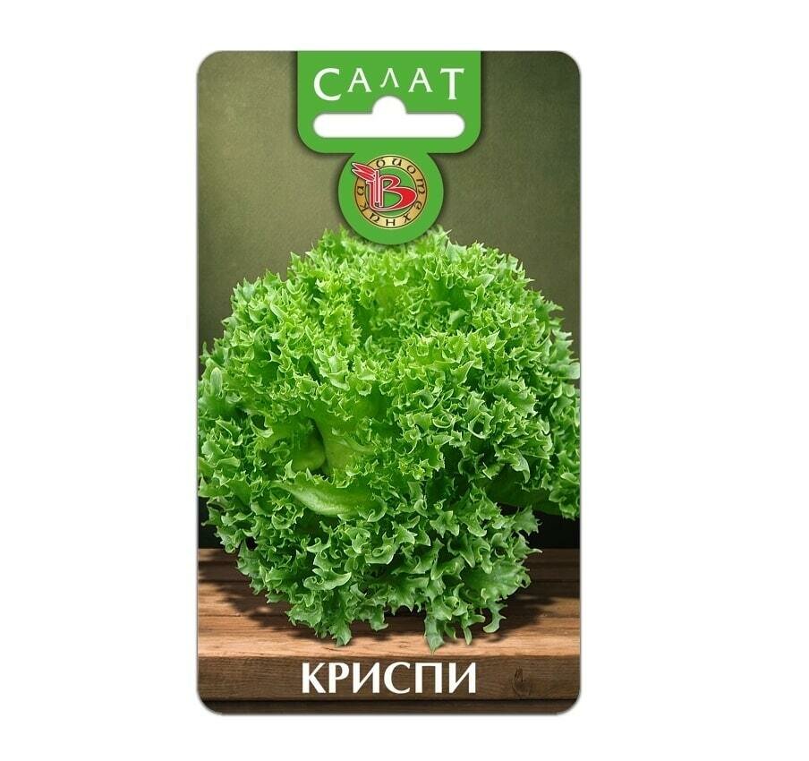 Семена Салат Криспи АГ Биотехника