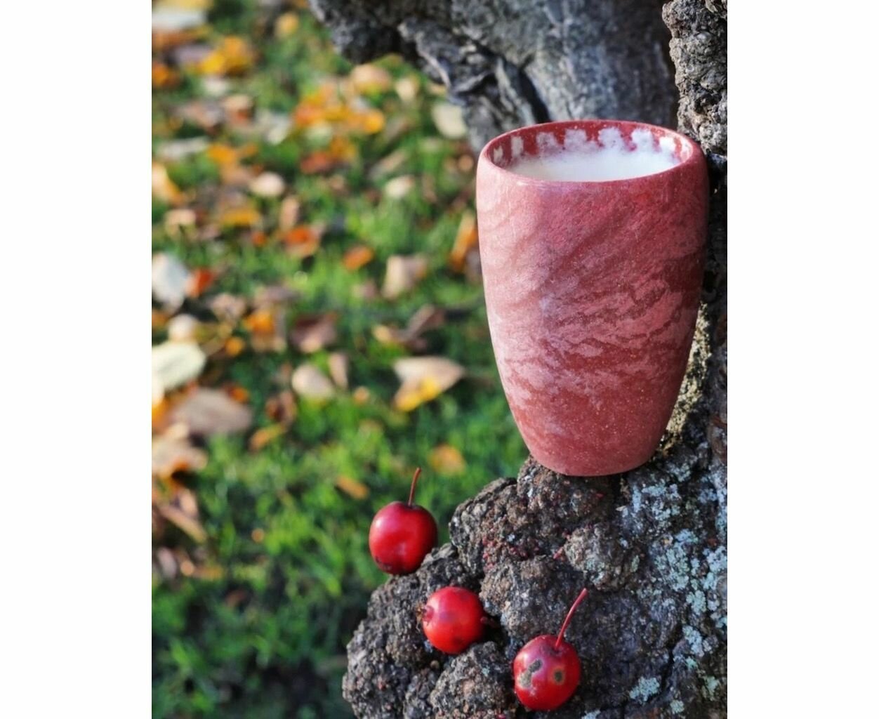 Финский стакан Kupilka 30 (300 мл.), цвет: Cranberry