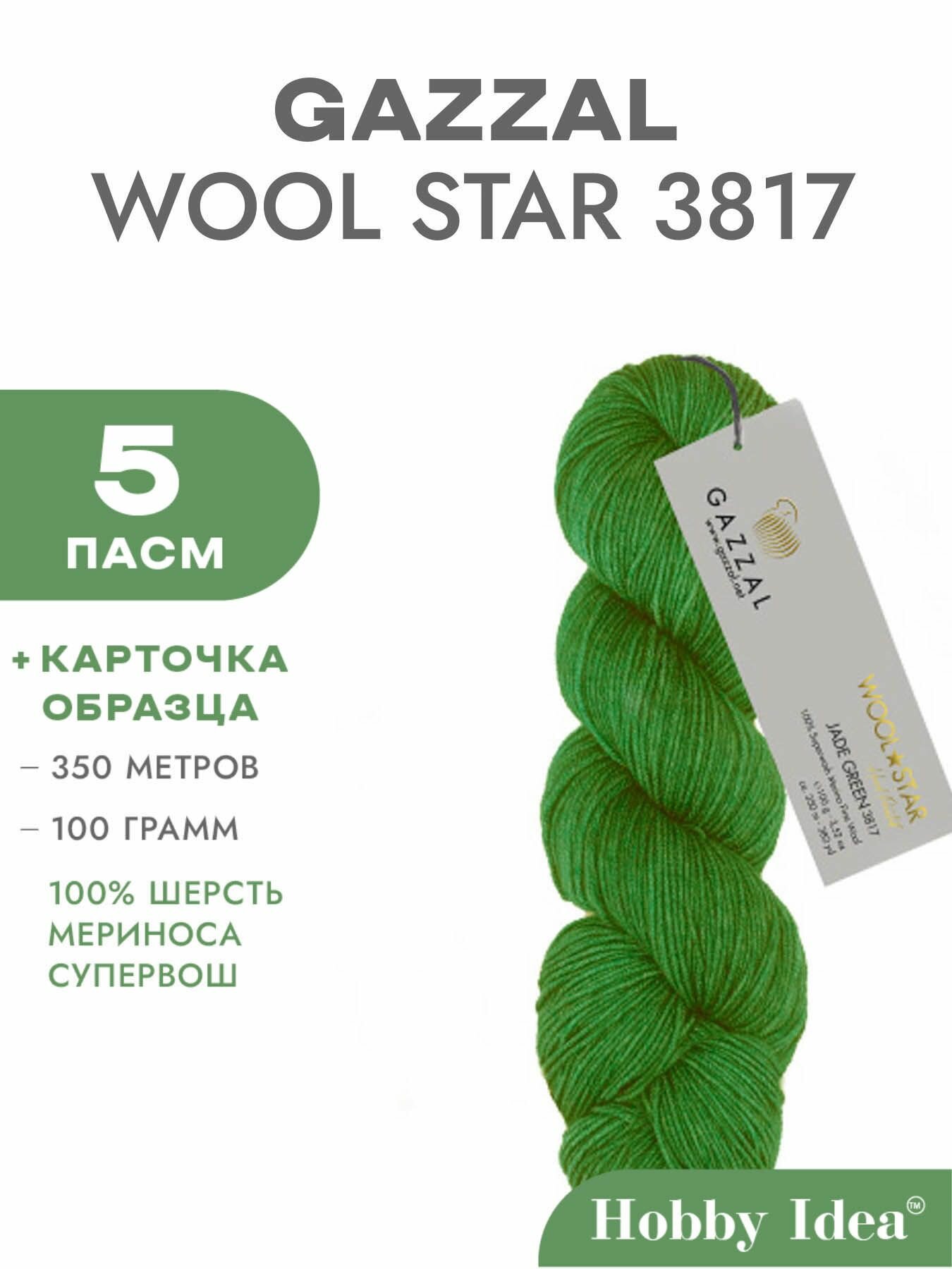 Пряжа Gazzal Wool Star 3817 Зелёный 5 пасм (Мериносовая пряжа в пасмах Газзал Вул Стар)