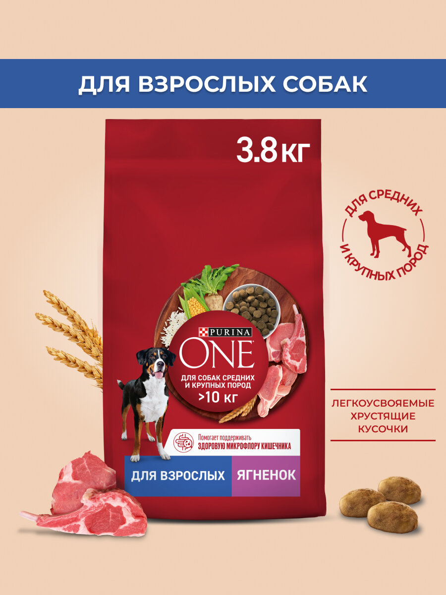Сухой корм PURINA ONE® для взрослых собак средних и крупных пород с ягненком и рисом, 3,8 кг