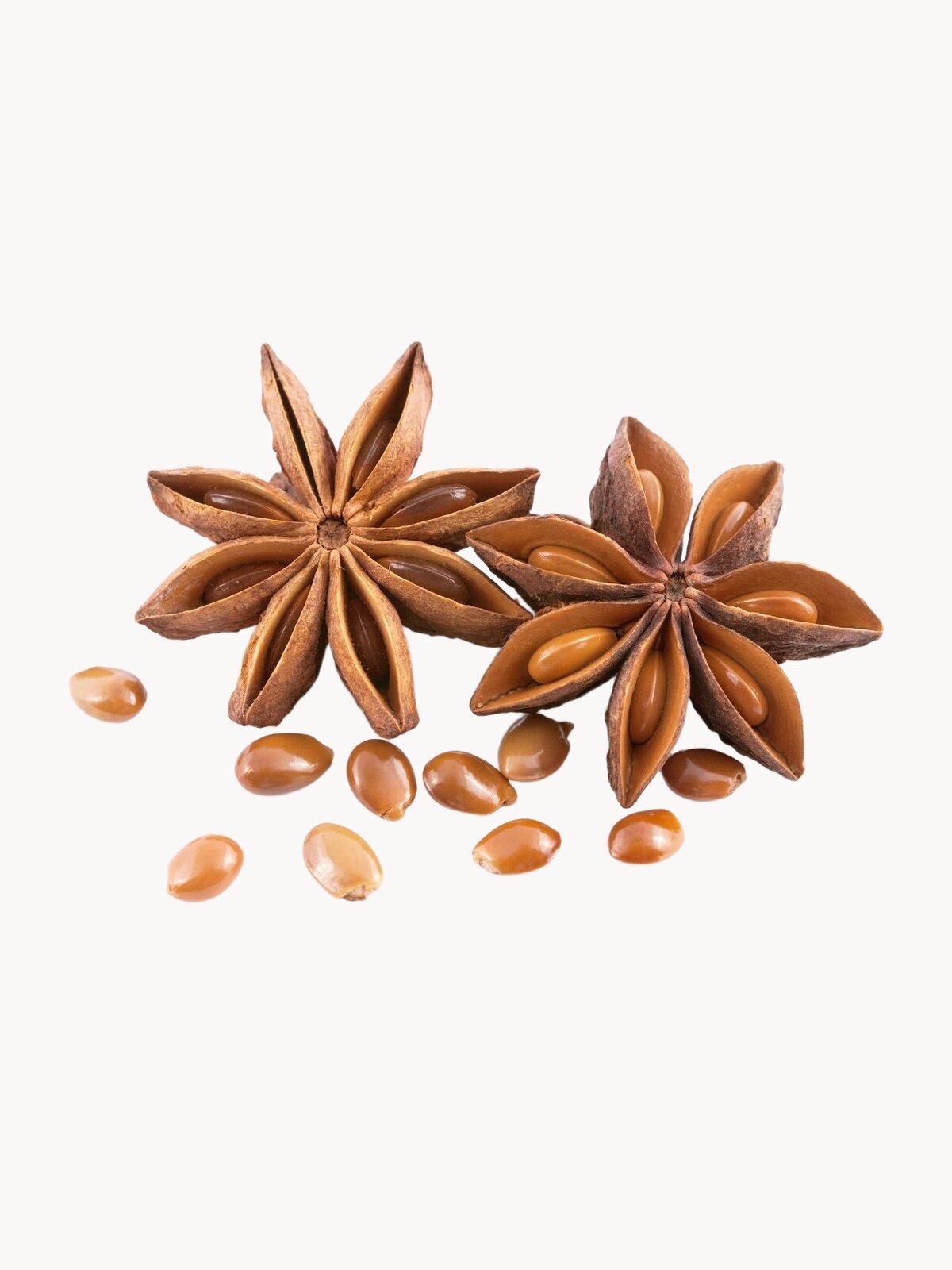 Бадьян «Vendor Hub» приправа Звёздочка, для выпечки, универсальная, 50 гр