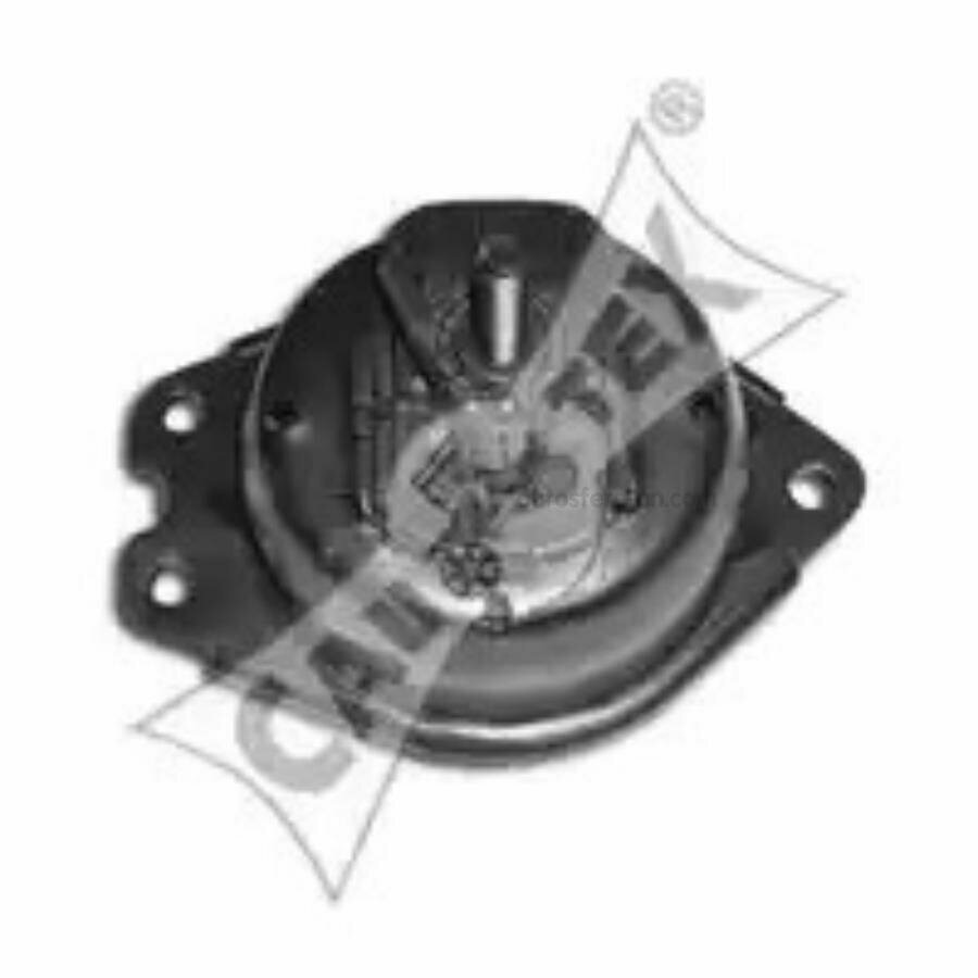 CAUTEX 021057 Опора двигателя RENAULT Laguna II 1.9dCi 01-