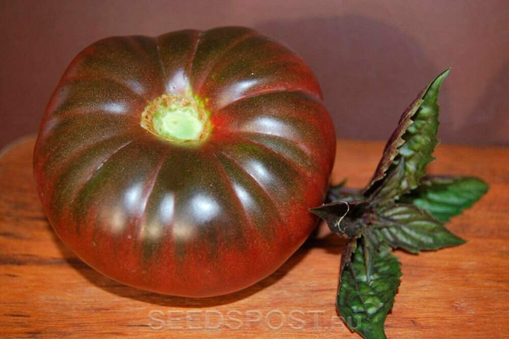 Коллекционные семена томата Чёрный гигант