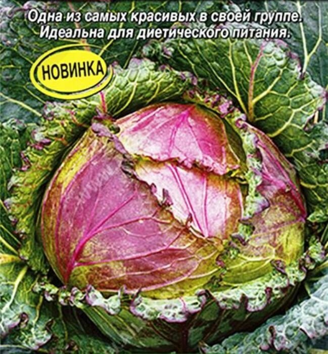 Коллекционные семена капусты савойская Фиолетовое кружево