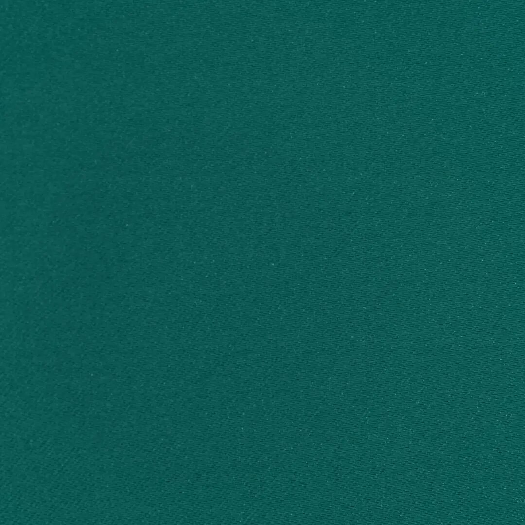 Штора со скрытыми петлями блэкаут Alycia 200x280 см цвет зеленый Exotic 1