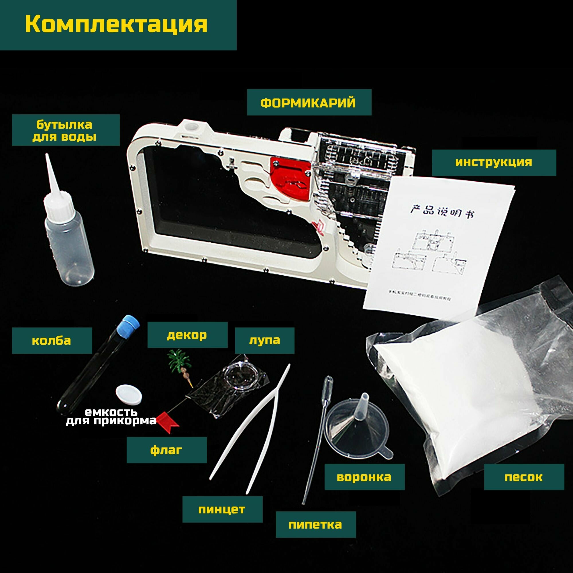 Муравьиная ферма — фото 1