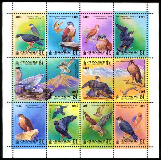 Почтовые марки Монголия 1999г. "Сокол" Птицы MNH