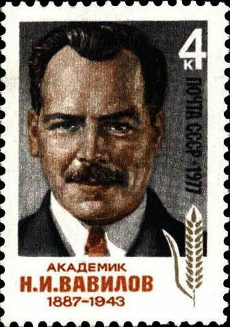 Почтовые марки СССР 1977г. "90 лет со дня рождения Н. И. Вавилова" Ученые MNH