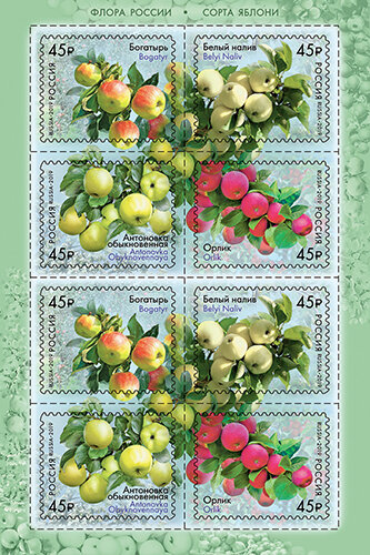 Почтовые марки Россия 2019г. "Сорта яблони" Фрукты MNH