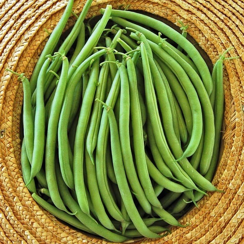 Фасоль Малахит (20 шт.), Гавриш, Россия