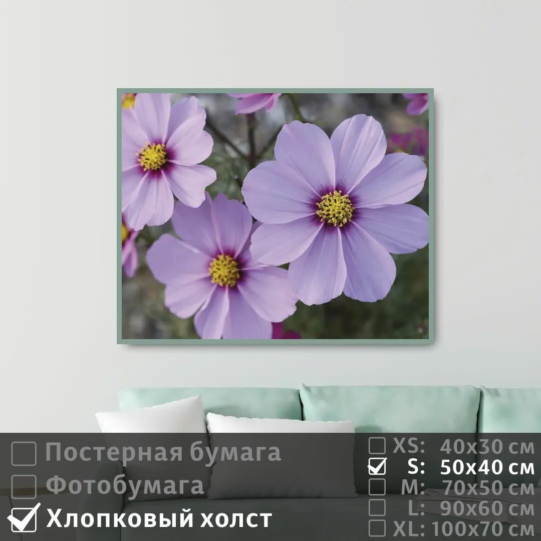 Постер на холсте Летние Сиреневые Цветы 50х40 см ПолиЦентр