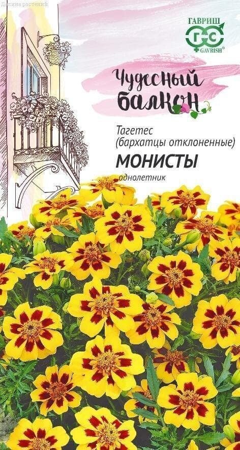 Бархатцы откл. Монисты (Тагетес) "Чудесный балкон" (0,3 гр.), Гавриш, Россия