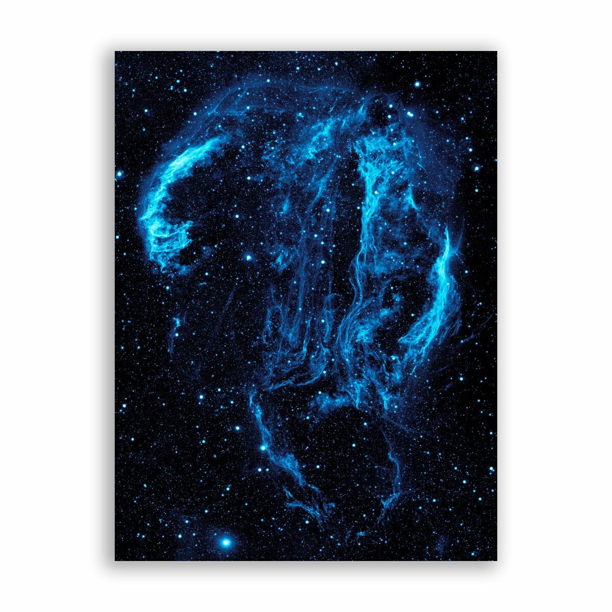 Постер, плакат на бумаге / Cygnus Loop Nebula / Петля Лебедя / Размер 40 x 53 см