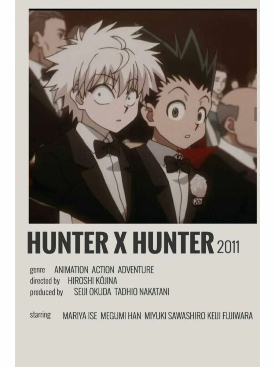 Постер "Hunter X Hunter. Gon Killua"